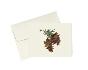 Pine Cone Note Cards Stationery Set of 10 Cards With Matching Envelopes ...