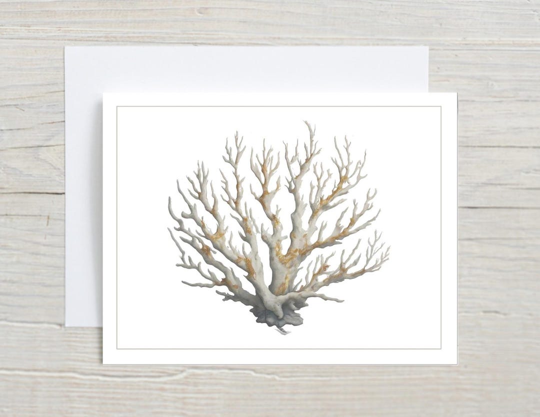 White Coral Blank Note Cards | Beach Thank You Cards | Wedding ...