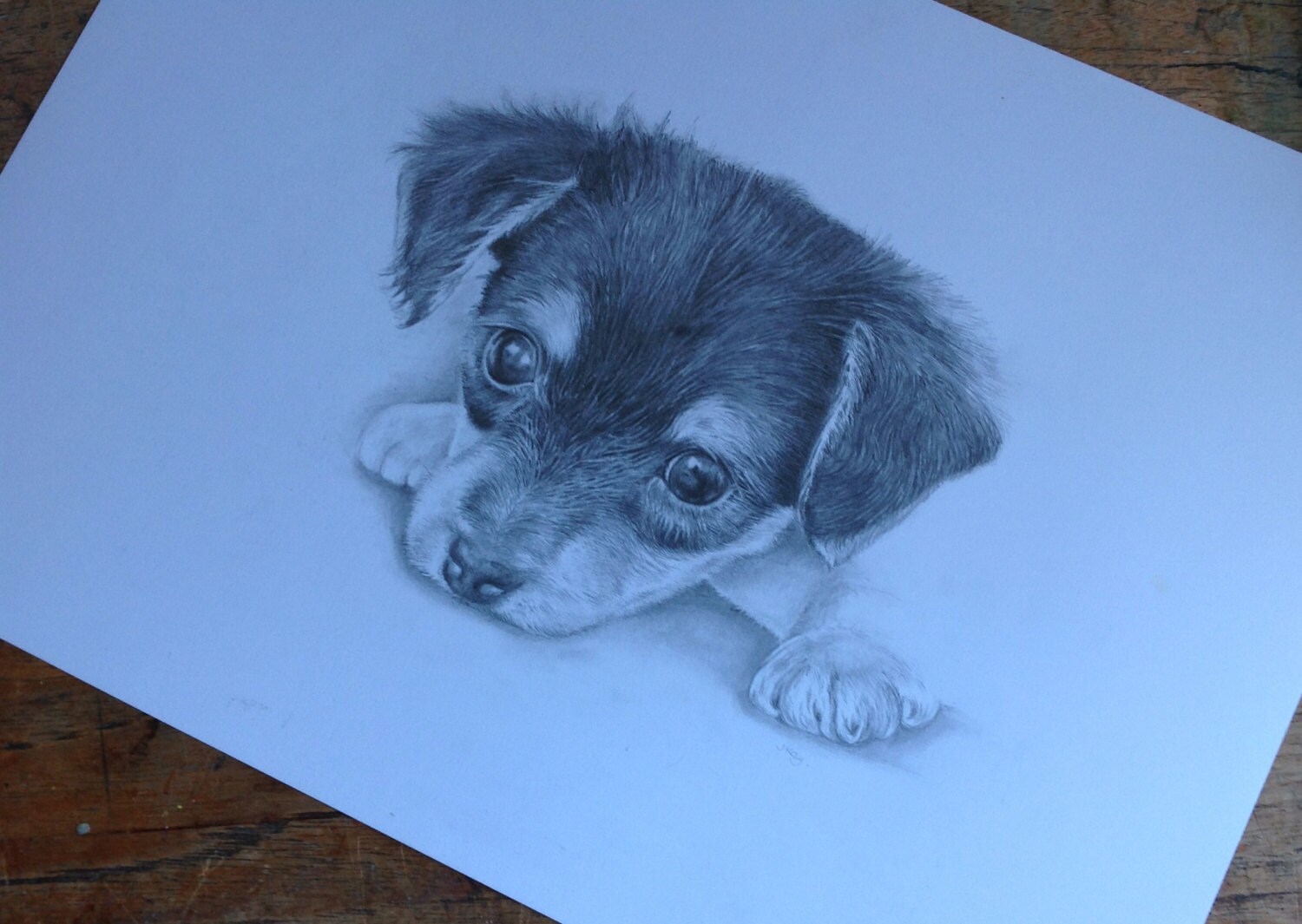 Yorkie Pup lápiz perro retrato dibujo de lápiz original | Etsy