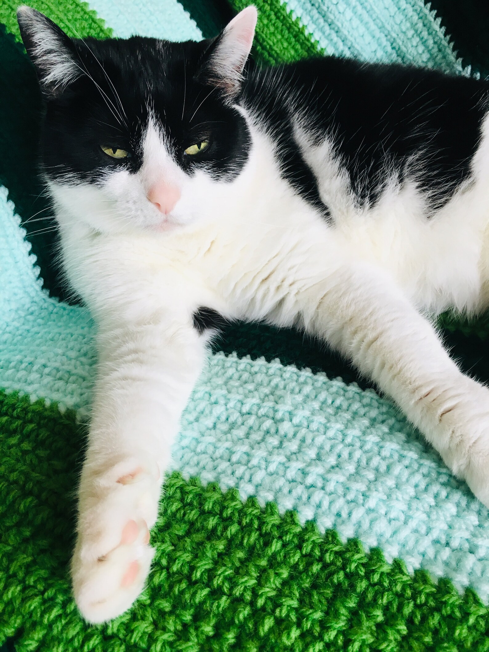 Cat Blanket No.1 PDF Crochet Pattern Great Stash Busting - Etsy