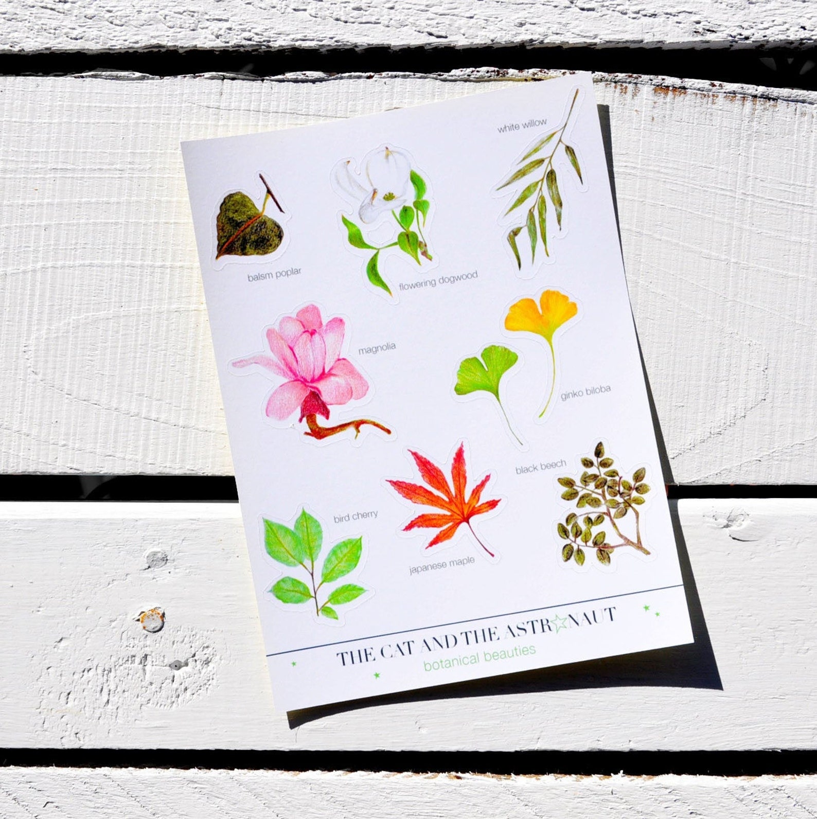 Botanical Beauties Sticker Sheet Plant Stickers Nature - Etsy Canada