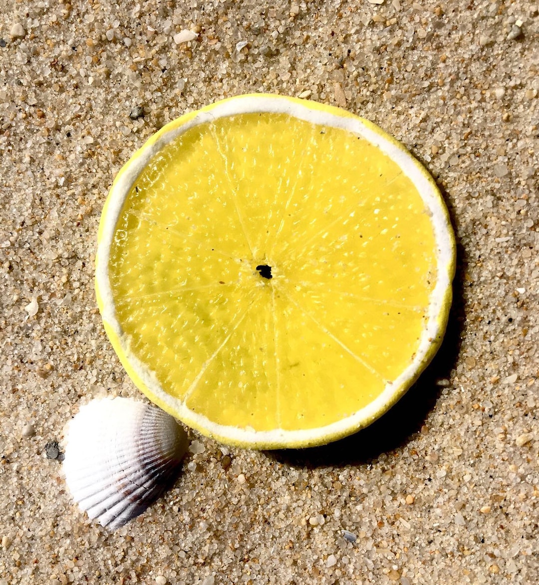 Lemon Pin, Citrus Pin Lemon, Cute Pin, Pins Cute, Fruit Pin, Stylish ...