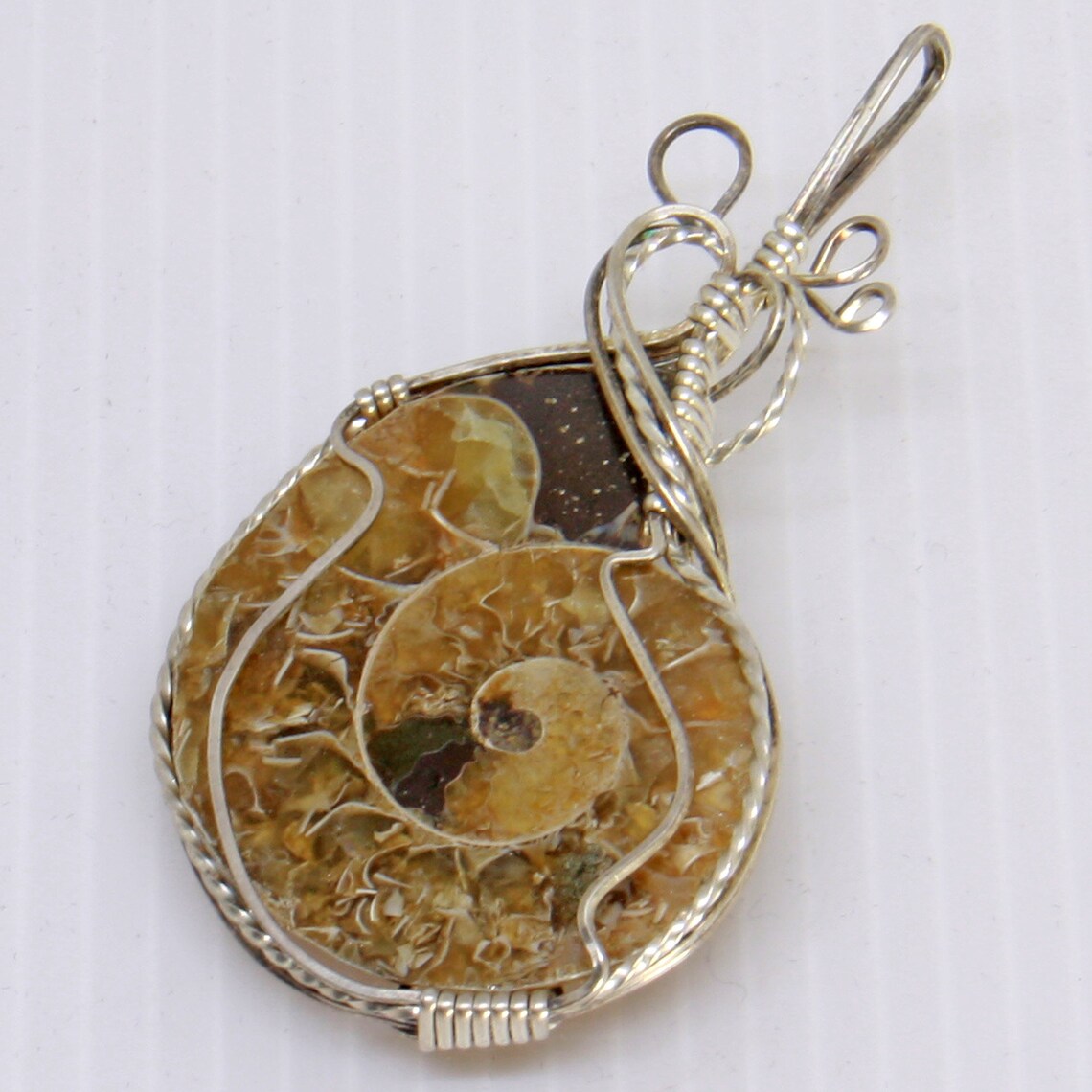 Ammonite Stone Pendant Natural Ammonite Fossil Necklace - Etsy