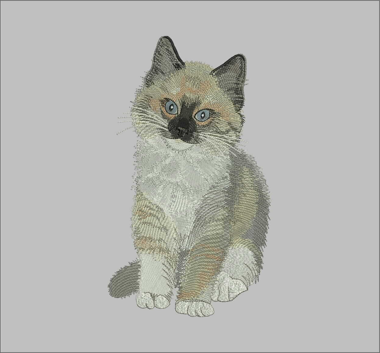 Ragdoll Kitten Embroidery Design. Design for Embroidery - Etsy