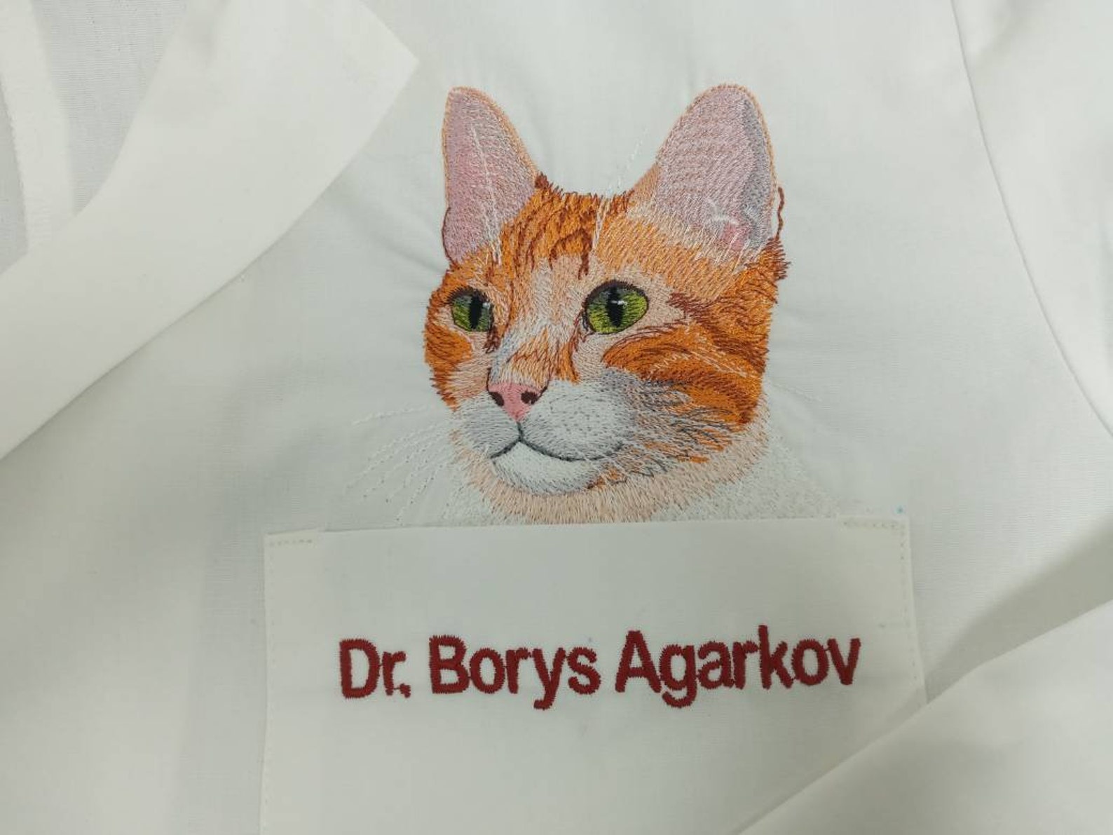 Ginger Cat Embroidery Design. Design for Embroidery Machine. - Etsy