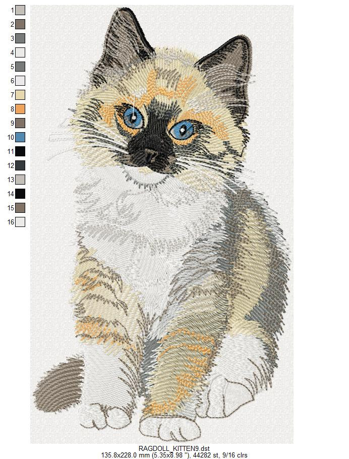 Ragdoll Kitten Embroidery Design, Machine Pattern (7.8" & 9") - Etsy