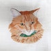 Maine Coon Ginger Cat Embroidery Design. Design for Embroidery Machine ...