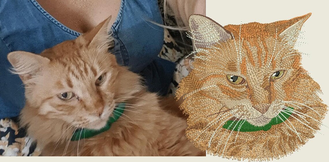 Maine Coon Ginger Cat Embroidery Design. Design for Embroidery - Etsy ...