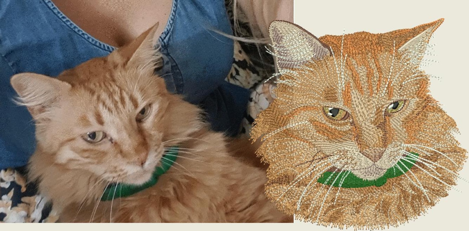 Maine Coon Ginger Cat embroidery design. Design for | Etsy