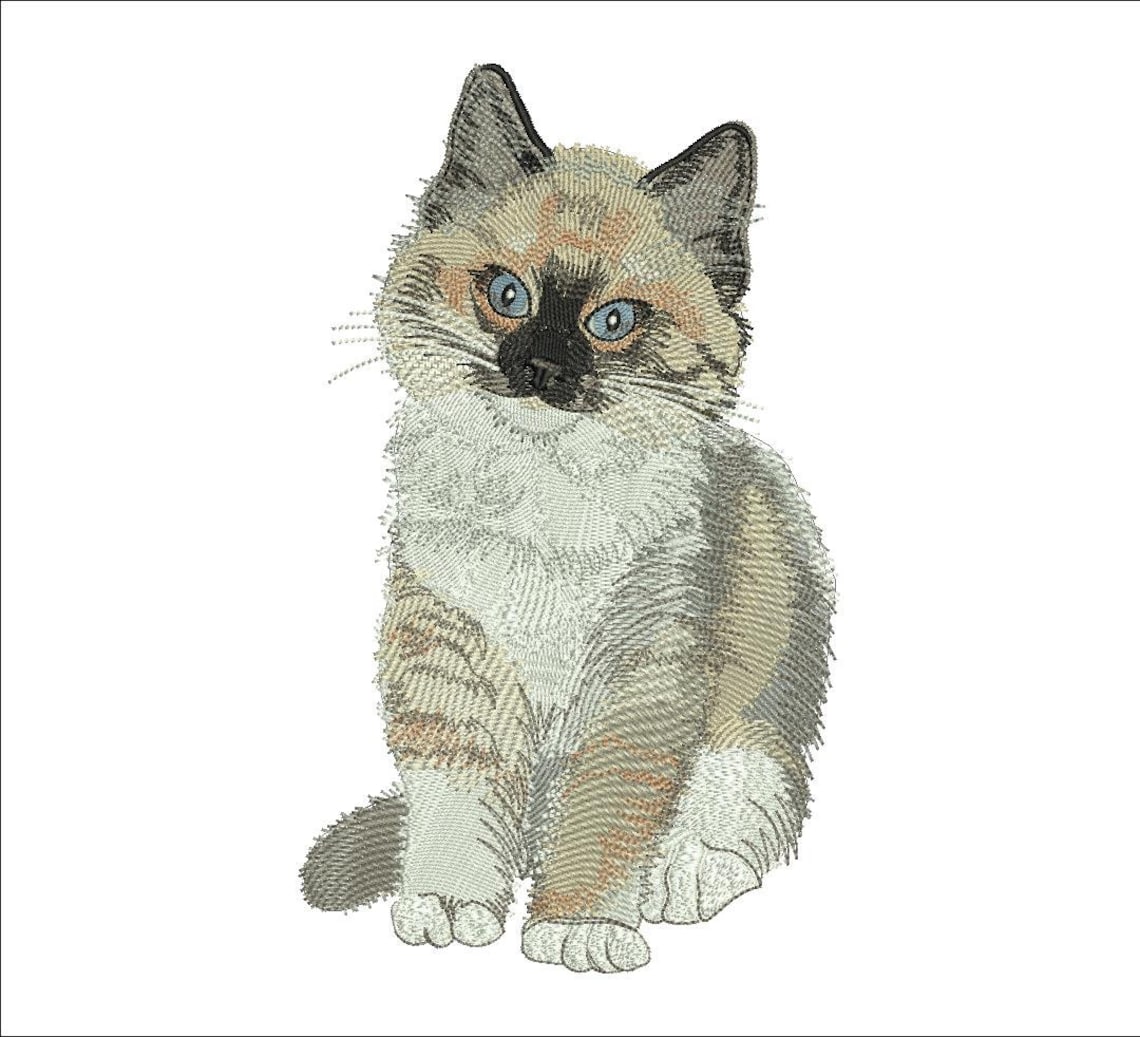Ragdoll Kitten Embroidery Design. Design for Embroidery - Etsy