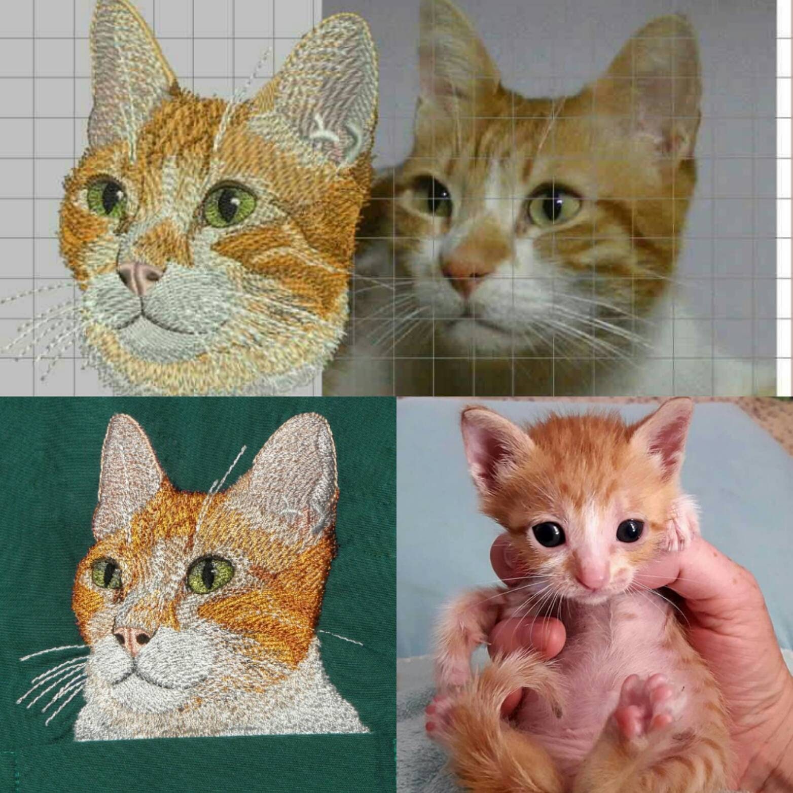 Ginger Cat Embroidery Design. Design for Embroidery Machine. - Etsy