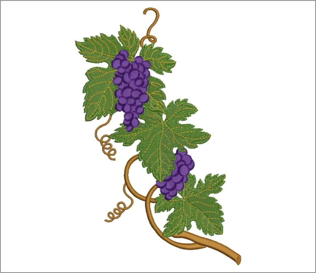 Grapes Embroidery Design for Embroidery Machine. 5"x7" Hoop. All ...