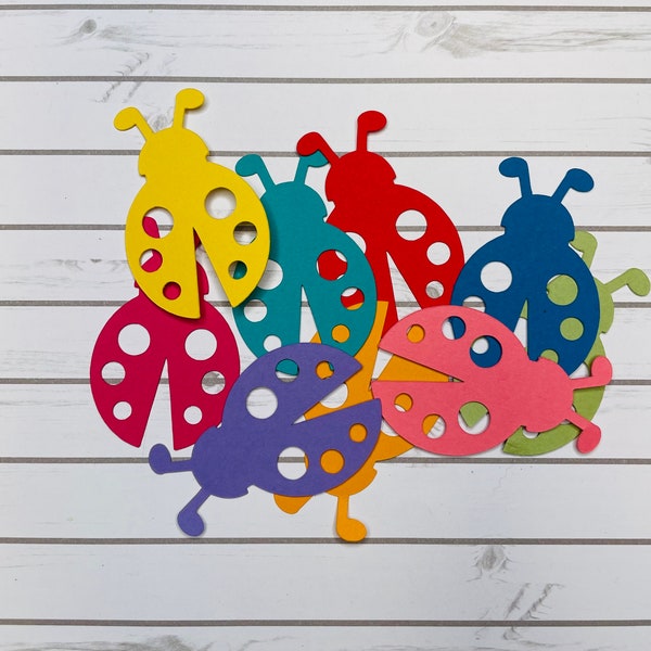 Ladybug Classroom Theme - Etsy