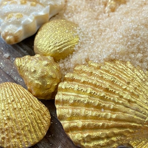 Hard Candy Edible Sugar Shells - Very Detailed - Cupcake or Cake Topper ...