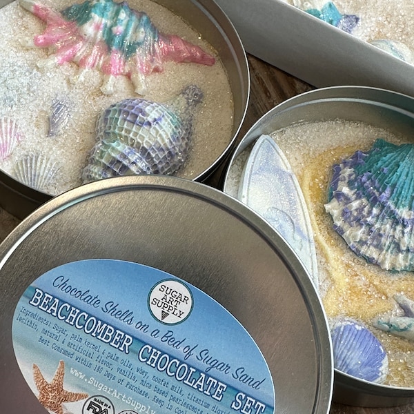 Chocolate Seashells - Etsy