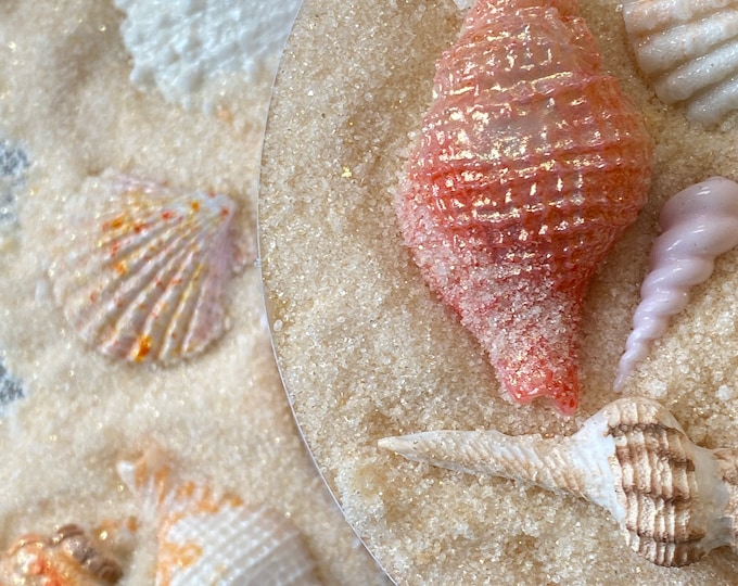 Hard Candy Edible Sugar Shells - Very Detailed - Cupcake or Cake Topper ...