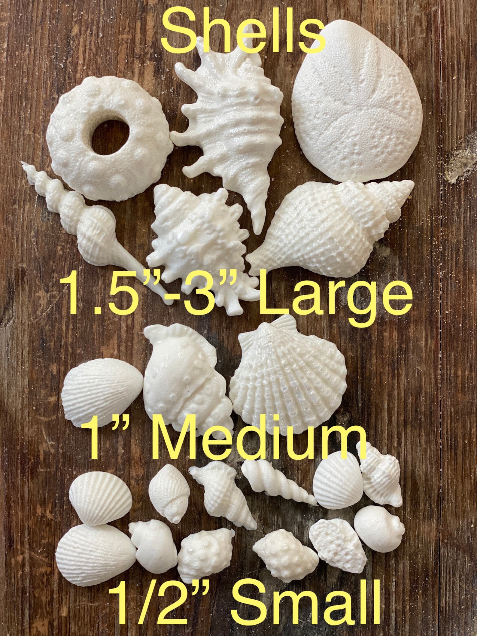 Hard Candy Edible Sugar Shells Very Detailed Cupcake or Cake Topper ...