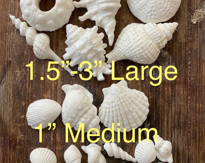 Hard Candy Edible Sugar Shells Very Detailed Cupcake or Cake Topper ...