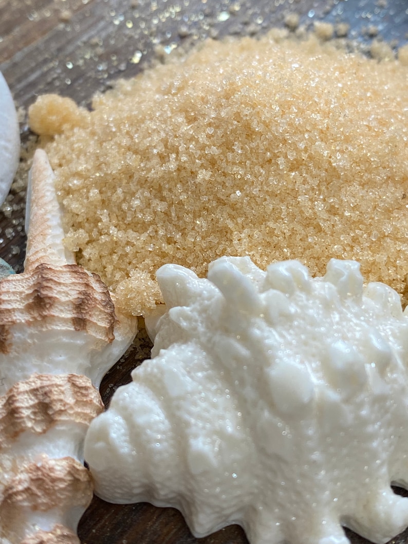 Hard Candy Edible Sugar Shells Mermaid Mix Very Detailed - Etsy