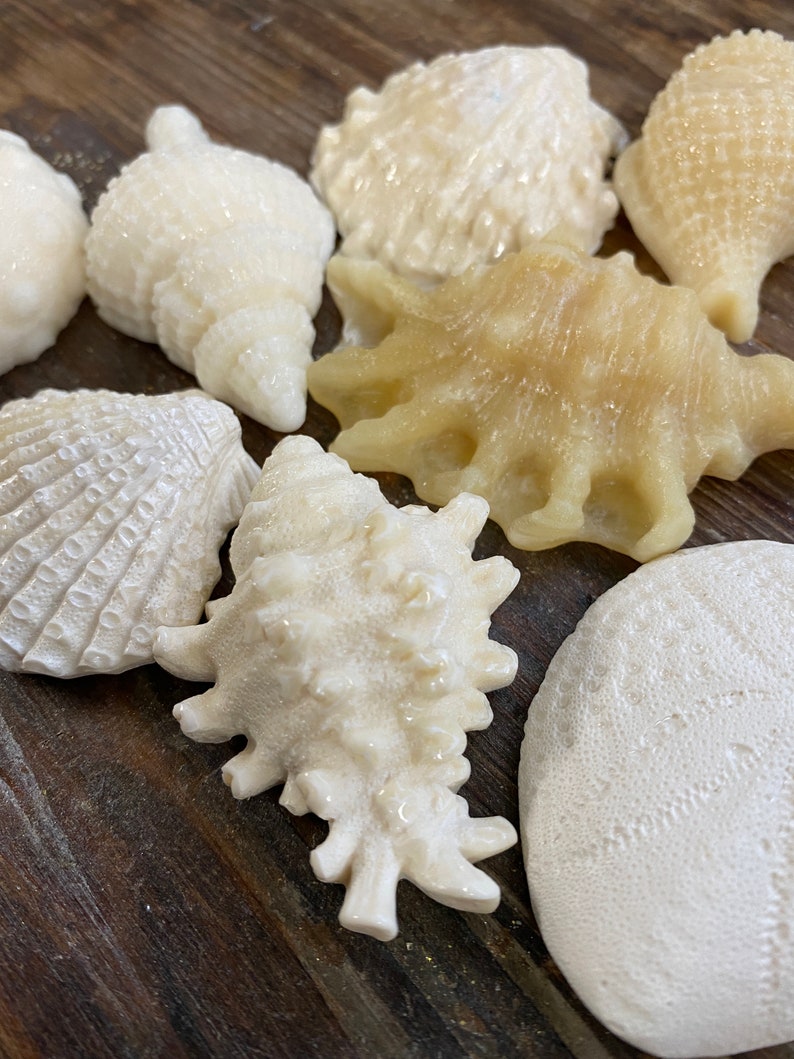 Hard Candy Edible Sugar Shells Mermaid Mix Very Detailed - Etsy