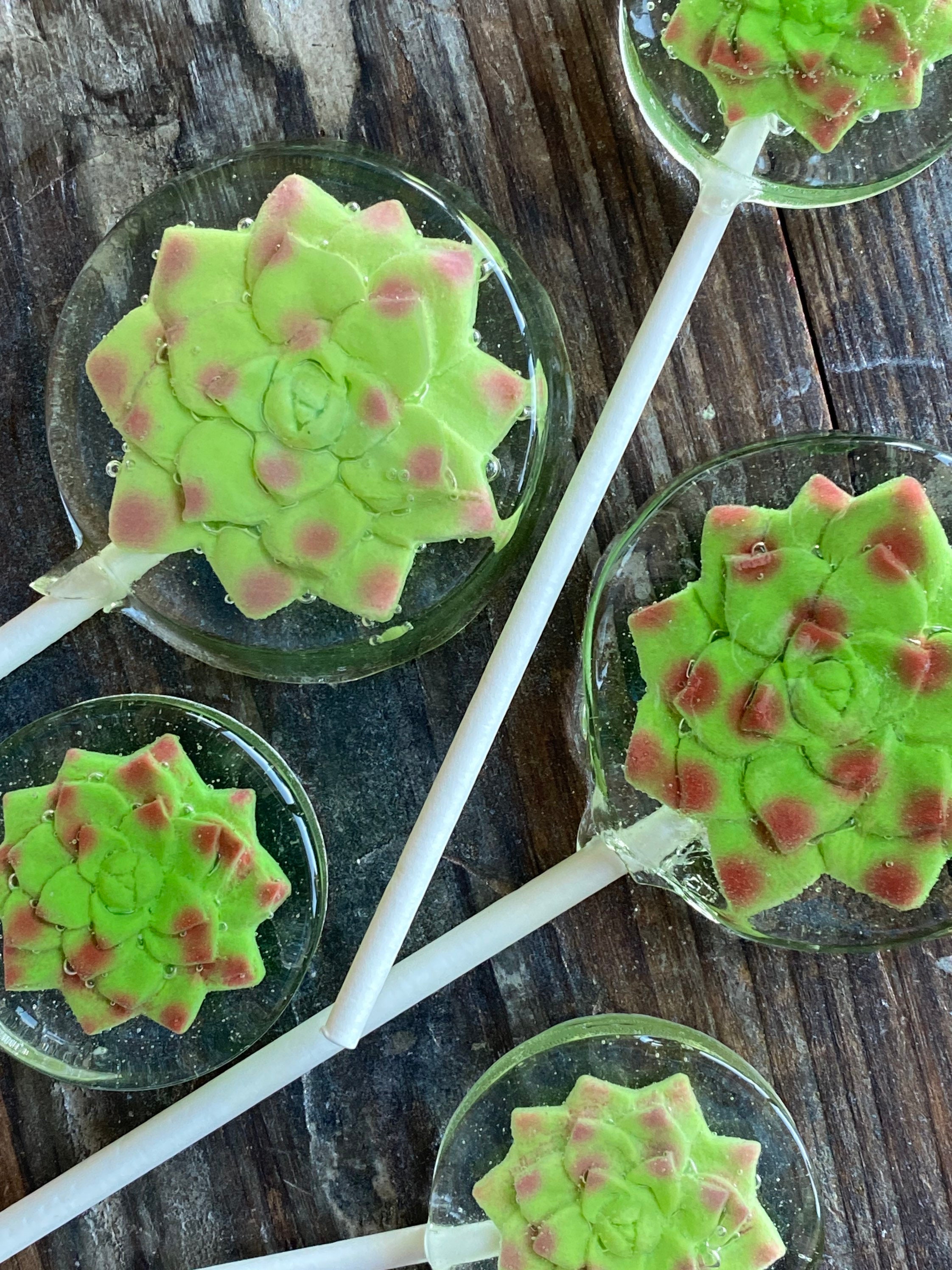 Hard Candy Succulent Cactus Lollipop Sucker Party Favors Gift - Etsy