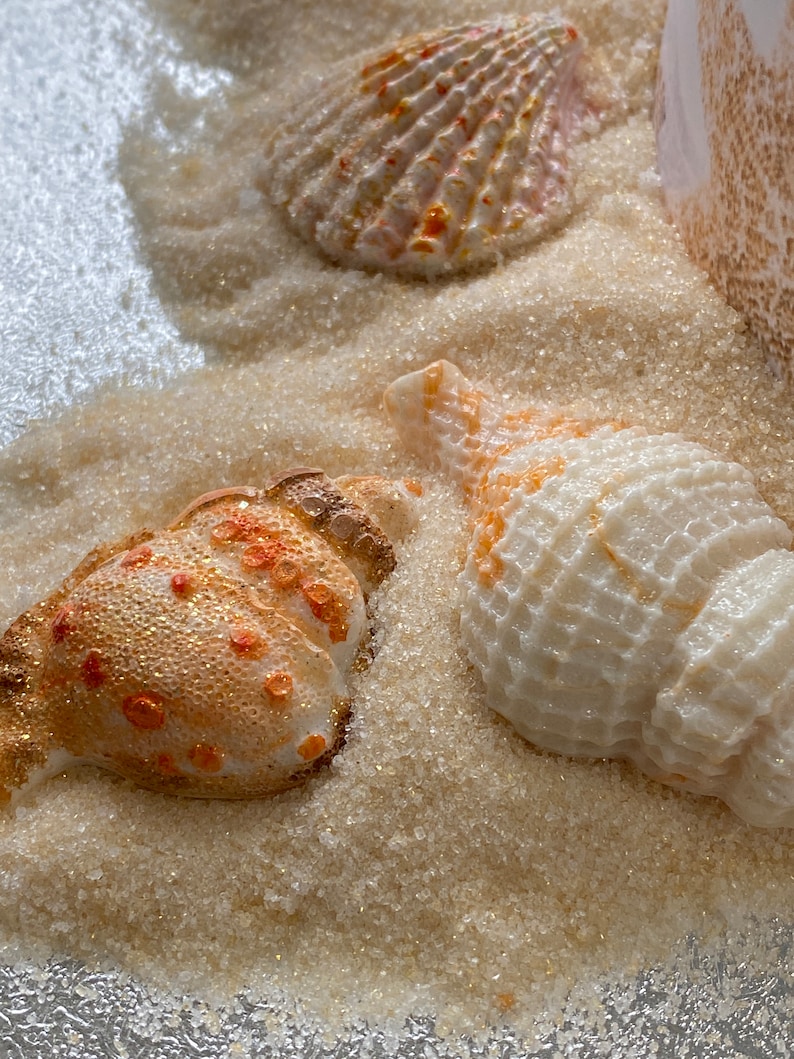 Hard Candy Edible Sugar Shells Mermaid Mix Very Detailed - Etsy