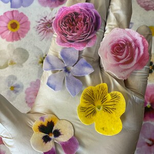 35 Individual Edible Flowers Leaves YOU CUT OUT on Edible Wafer Paper ...