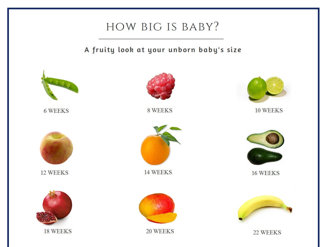 20 Week Fetus Fruit Size
