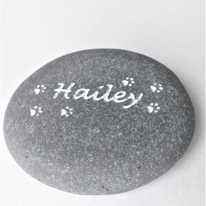 Your Pet's Name, Engraved in Gray Stone With White - Dog or Cat Name ...