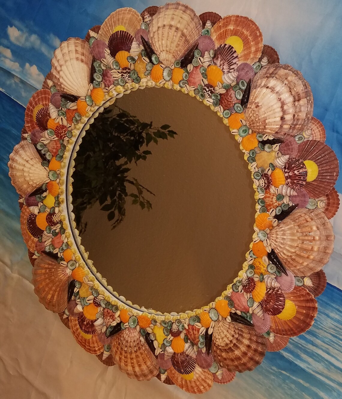 Large MIRROR SCALLOP Seashell BEACH Decorative Coastal Living | Etsy