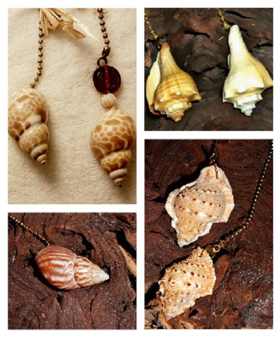 Coastal Beach Inspired Handcrafted Seashell Fan Light Lamp | Etsy