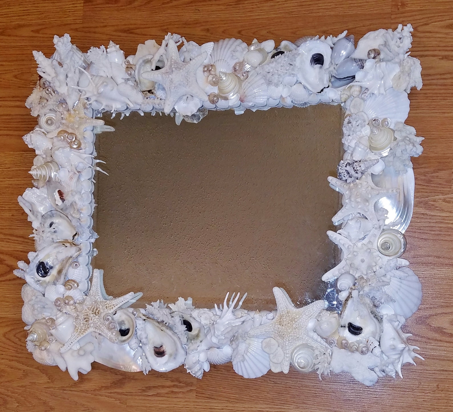 WHITE SEASHELL Starfish CORAL Beach Mirror Pearl Unique - Etsy