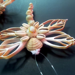 Seashell BUTTERFLIES and DRAGONFLIES Ornament Spring Beach Hanging ...