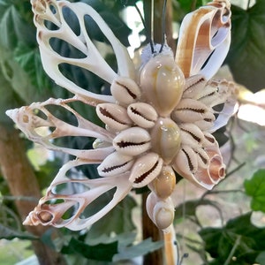 Seashell BUTTERFLIES and DRAGONFLIES Ornament Spring Beach Hanging ...