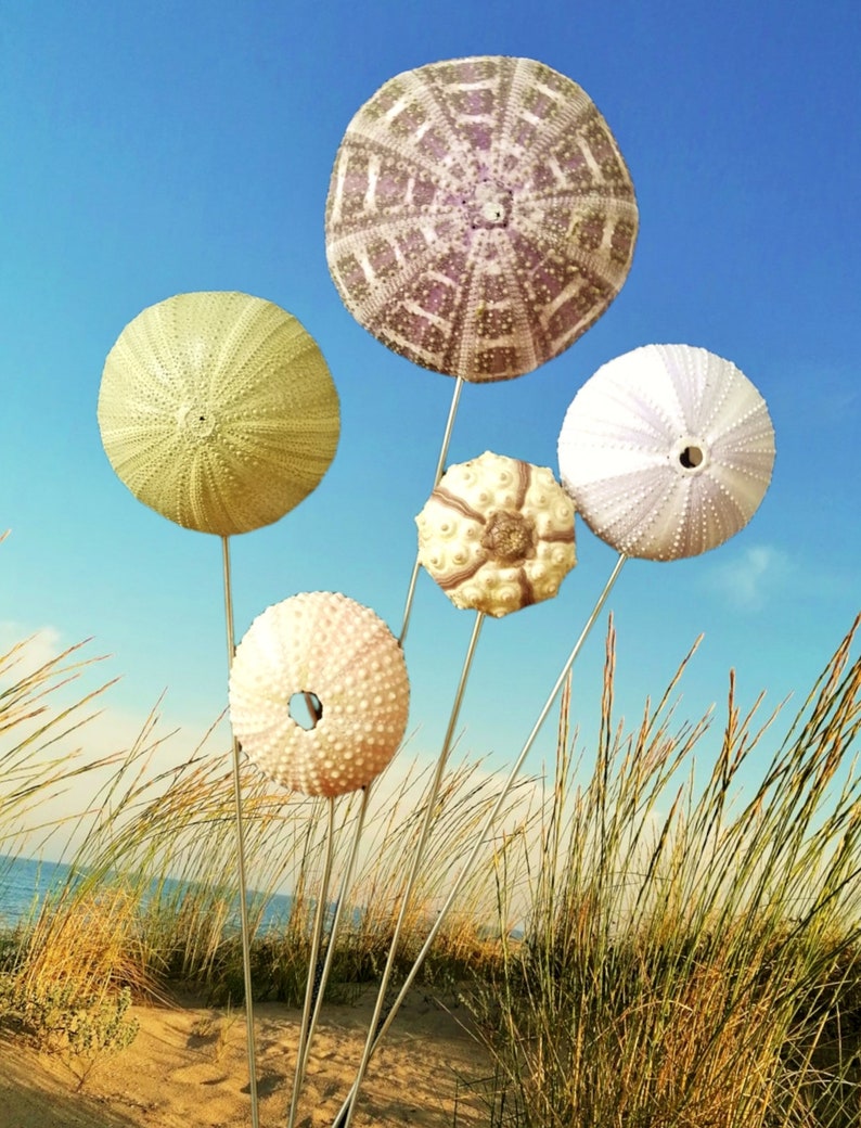 BEACH Starfish and Seashell Wood Stems WEDDING Bouquet Centerpieces ...