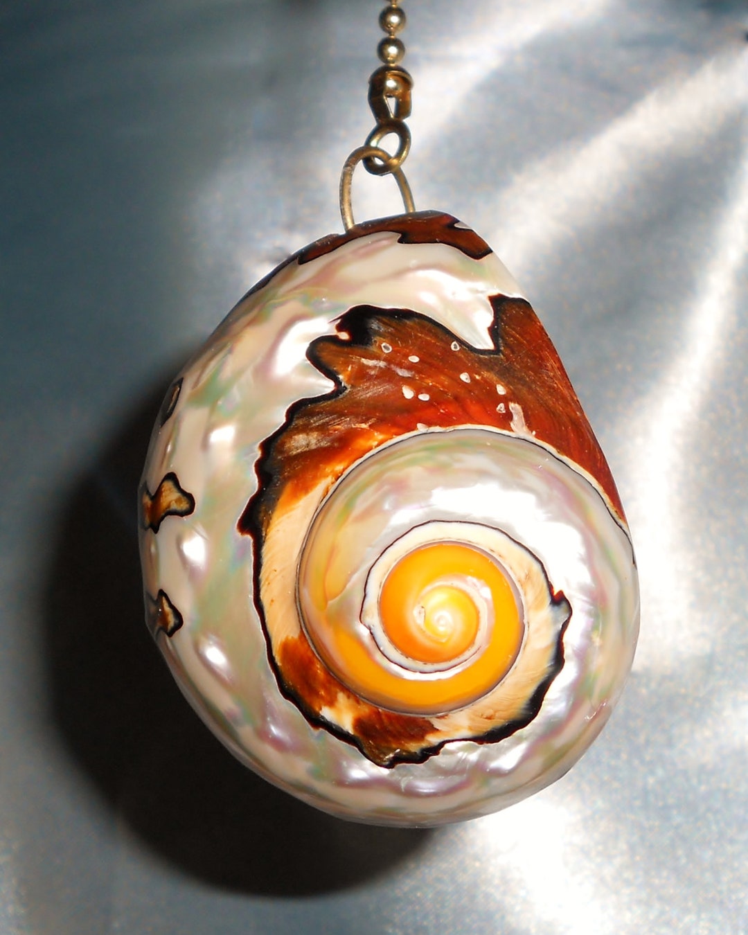 Large Seashell Ceiling Fan Light Pull Chain Beach Ornament Coastal ...