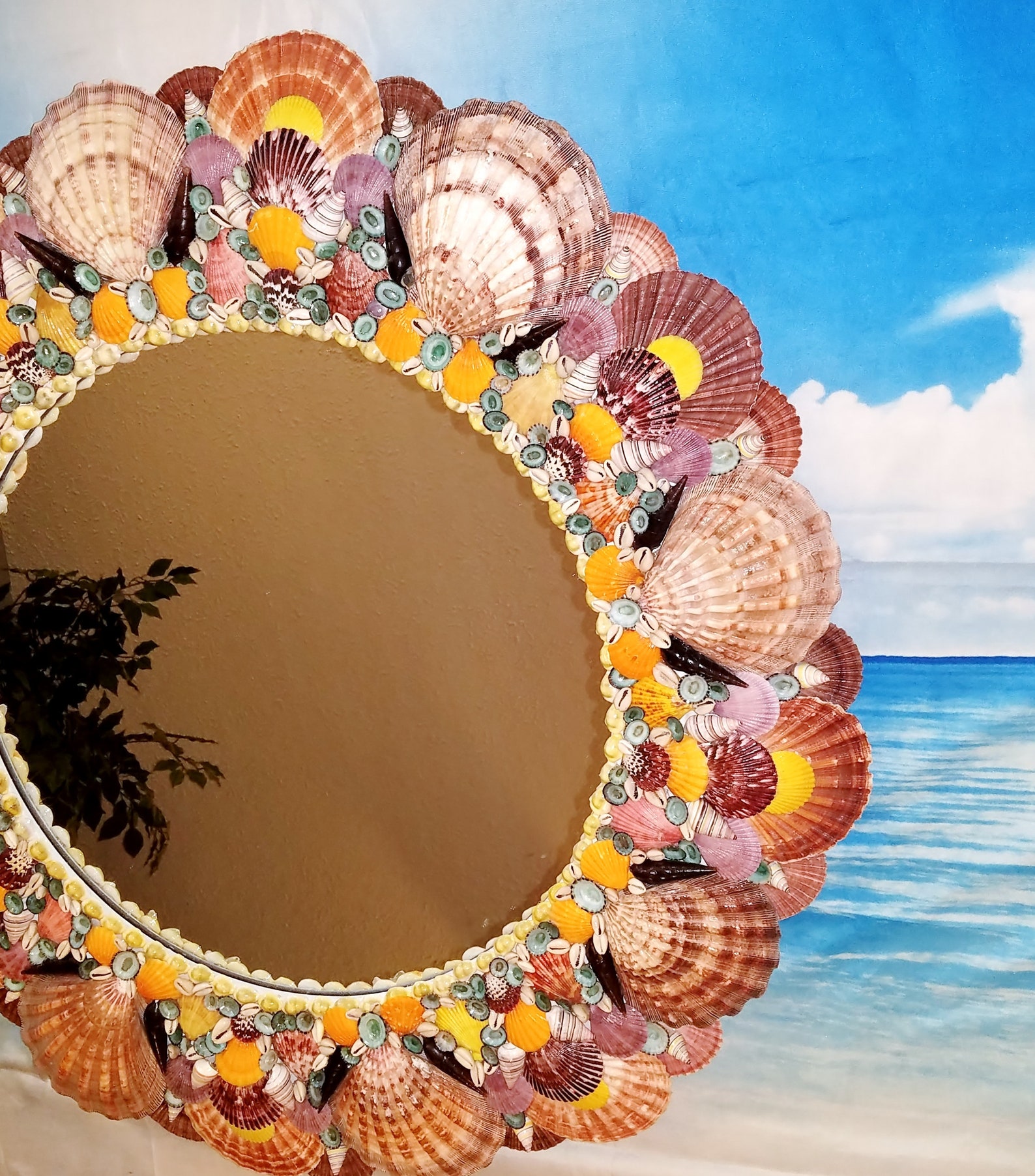 Large MIRROR SCALLOP Seashell BEACH Decorative Coastal Living | Etsy