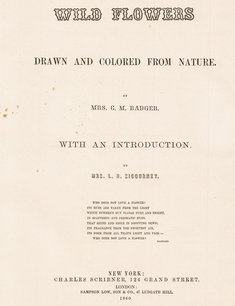 Antique 1860s Wildflower Red Cardinal Flower From Rare Book Color Print ...