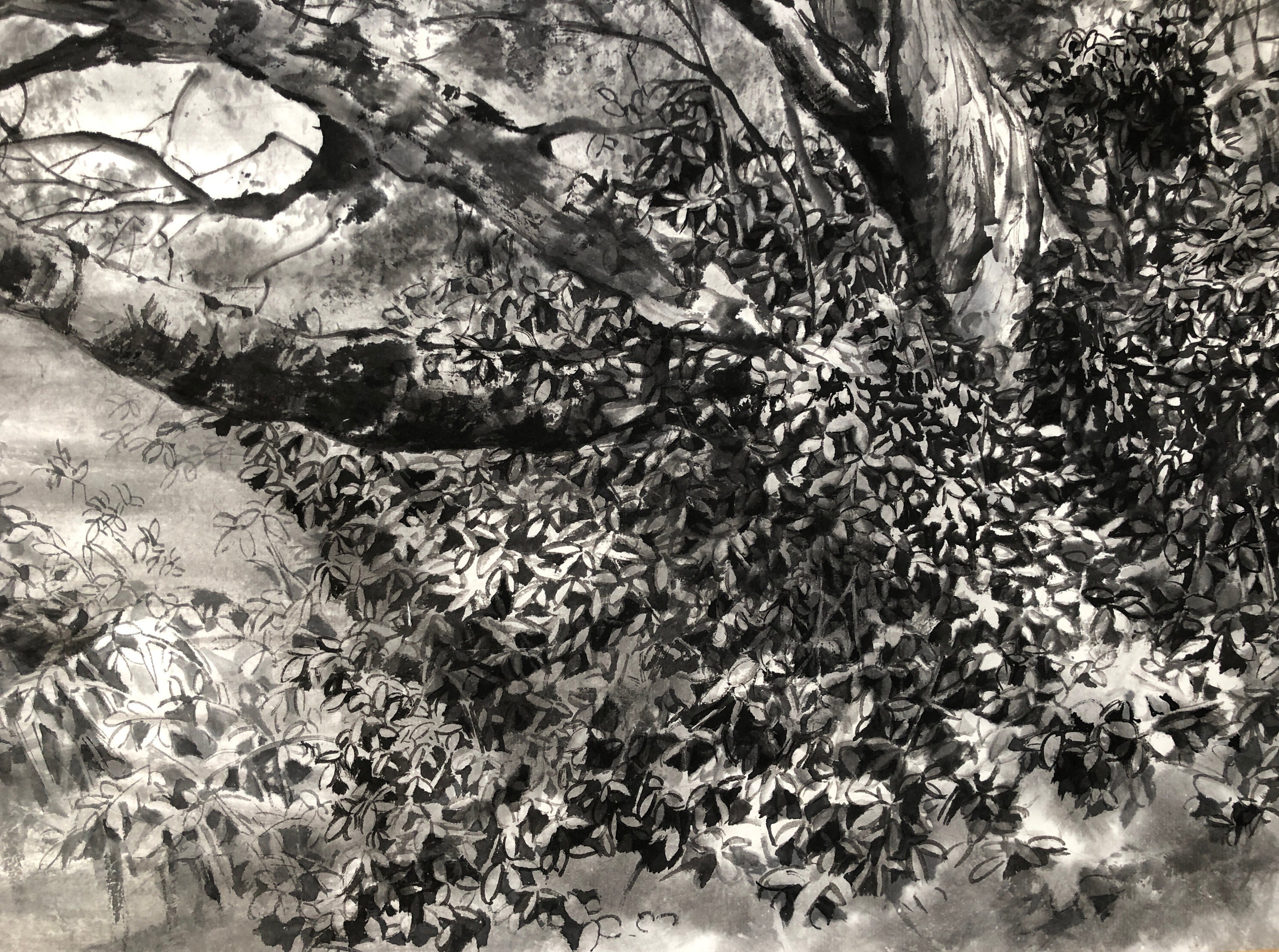 Old Trees Japanese Ink Painting Sumi-e Black Ink Japanese - Etsy