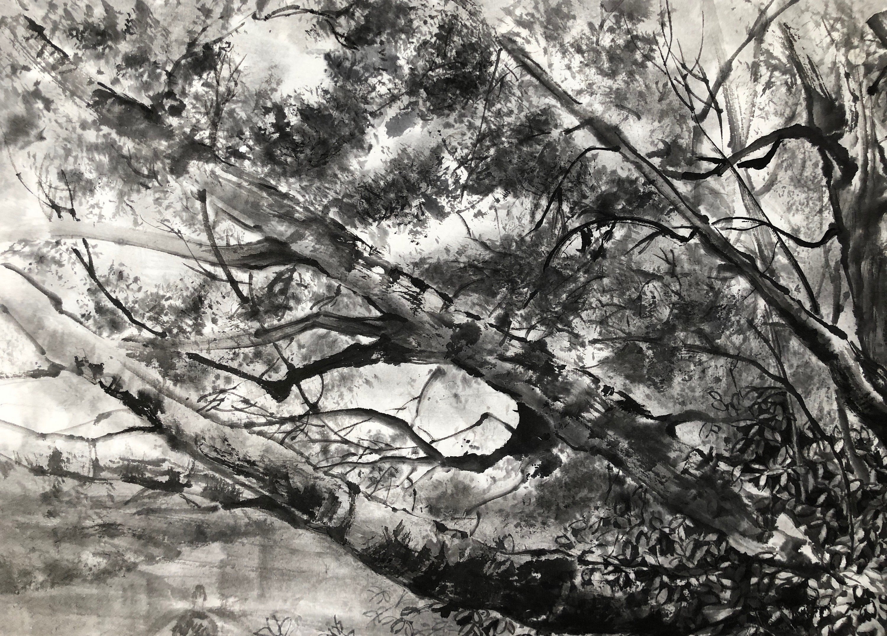 Old Trees Japanese Ink Painting Sumi-e Black Ink Japanese - Etsy