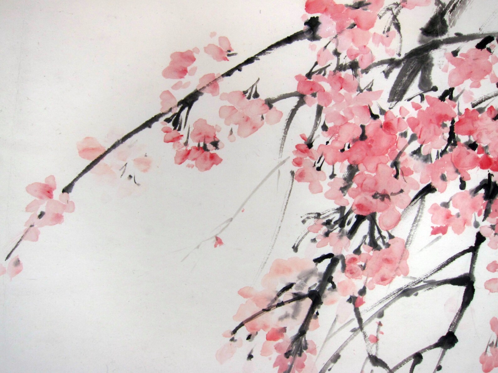 Sakura Japanese ink painting Suibokuga Sumi-e Cherry Blossoms | Etsy