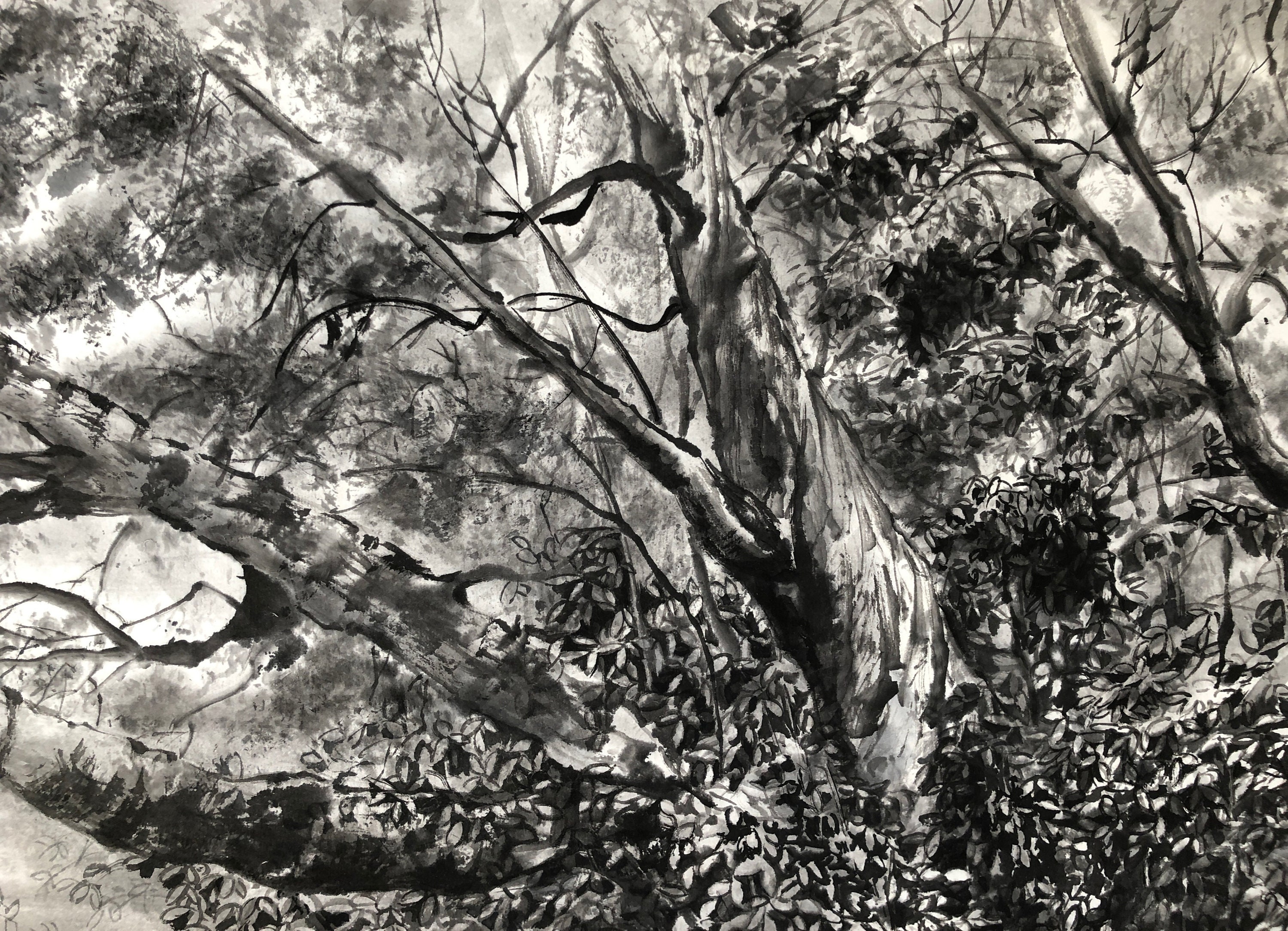 Old Trees Japanese Ink Painting Sumi-e Black Ink Japanese - Etsy