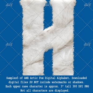 Artic Fox Digital Alphabet by Awesomescrapper, High Quality 300 DPI ...