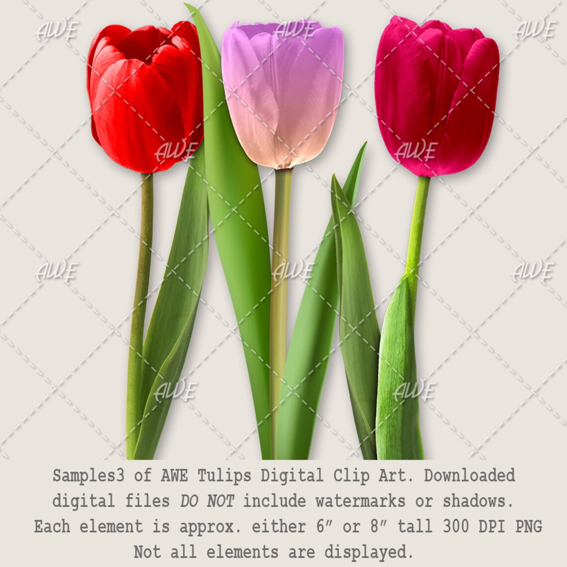 Tulips Digital Clip Art by Awesomescrapper - High Quality, 300 DPI Pngs ...