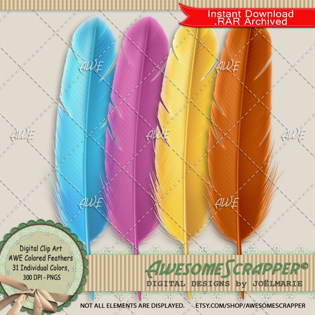 Colored Feathers Digital Clip Art by Awesomescrapper - High Quality ...