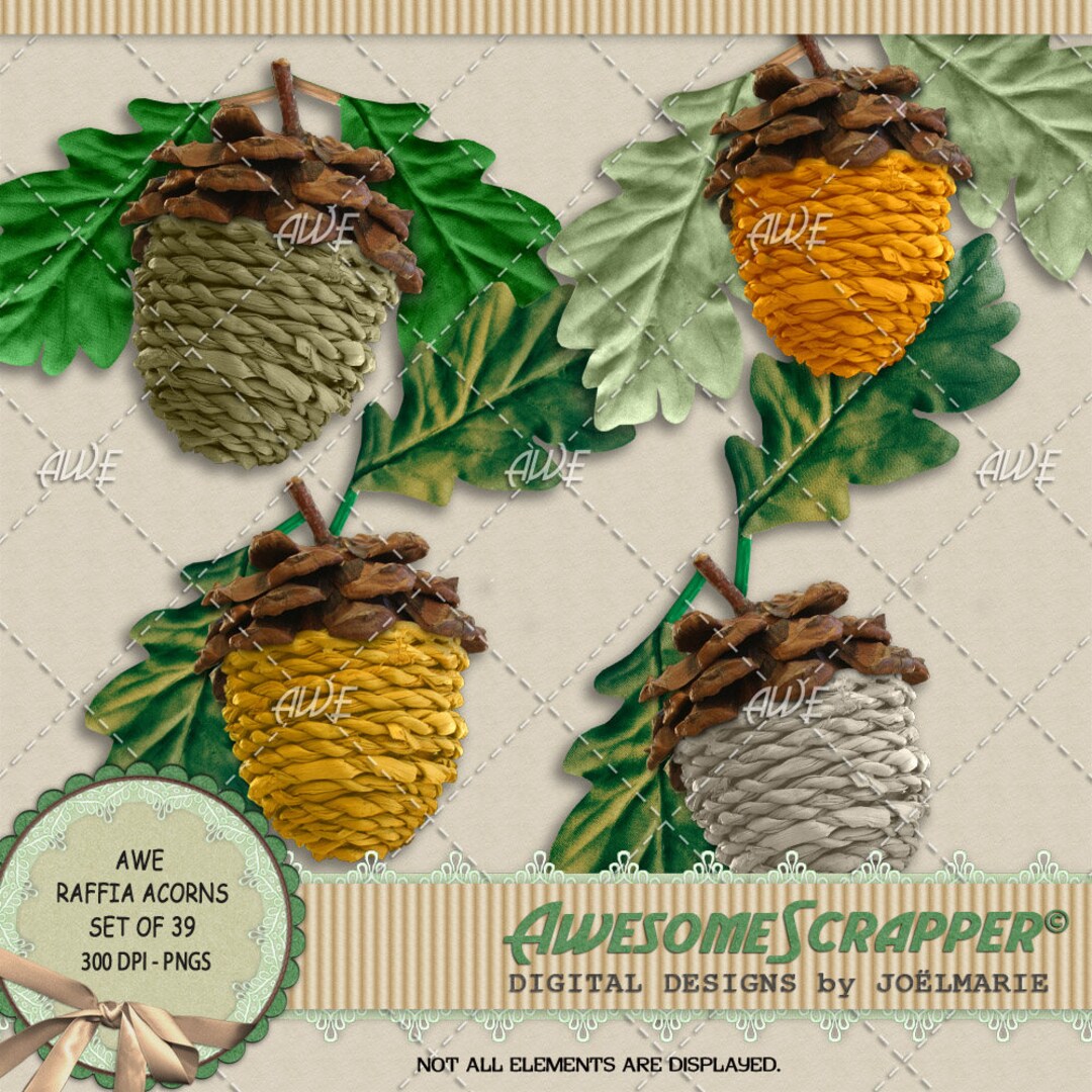 Raffia Acorns, by Awesomescrapper, Set of 39 Colors and Variations With ...