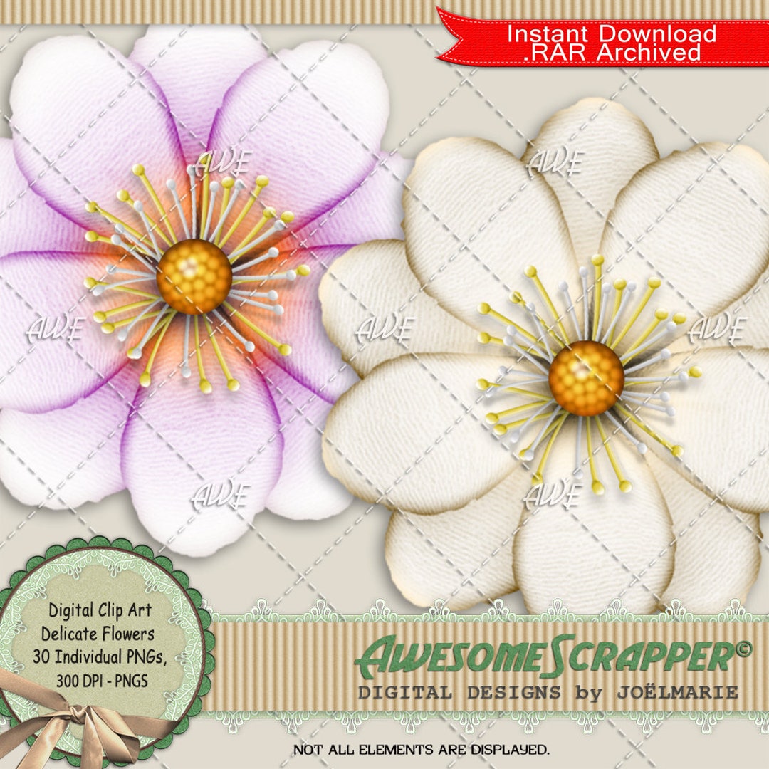 Delicate Flowers Digital Clip Art by Awesomescrapper - High Quality ...