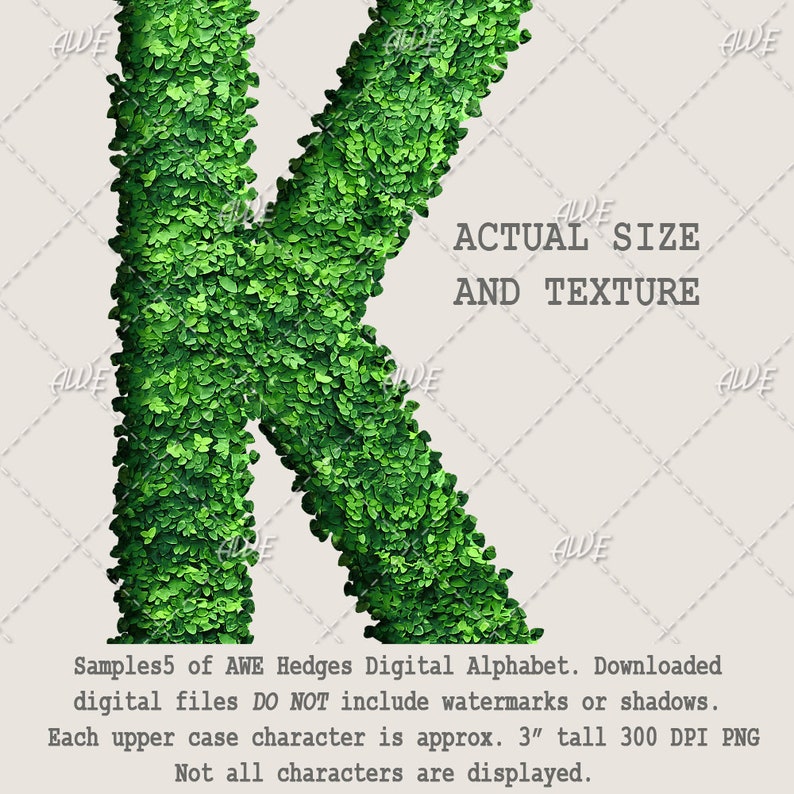 Hedges Digital Alphabet by Awesomescrapper - High Quality, 300 DPI Pngs ...
