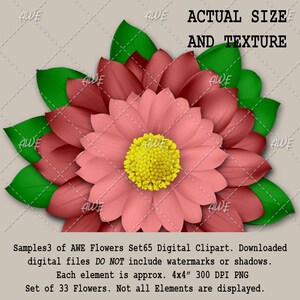 Flower Set 65, Digital Clipart, by Awesomescrapper, Set of 33 Color ...