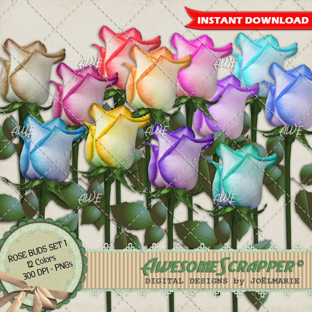 Digital Clipart - Rose Buds Set 1 - Set of 12, Long Stem, Multi Color ...